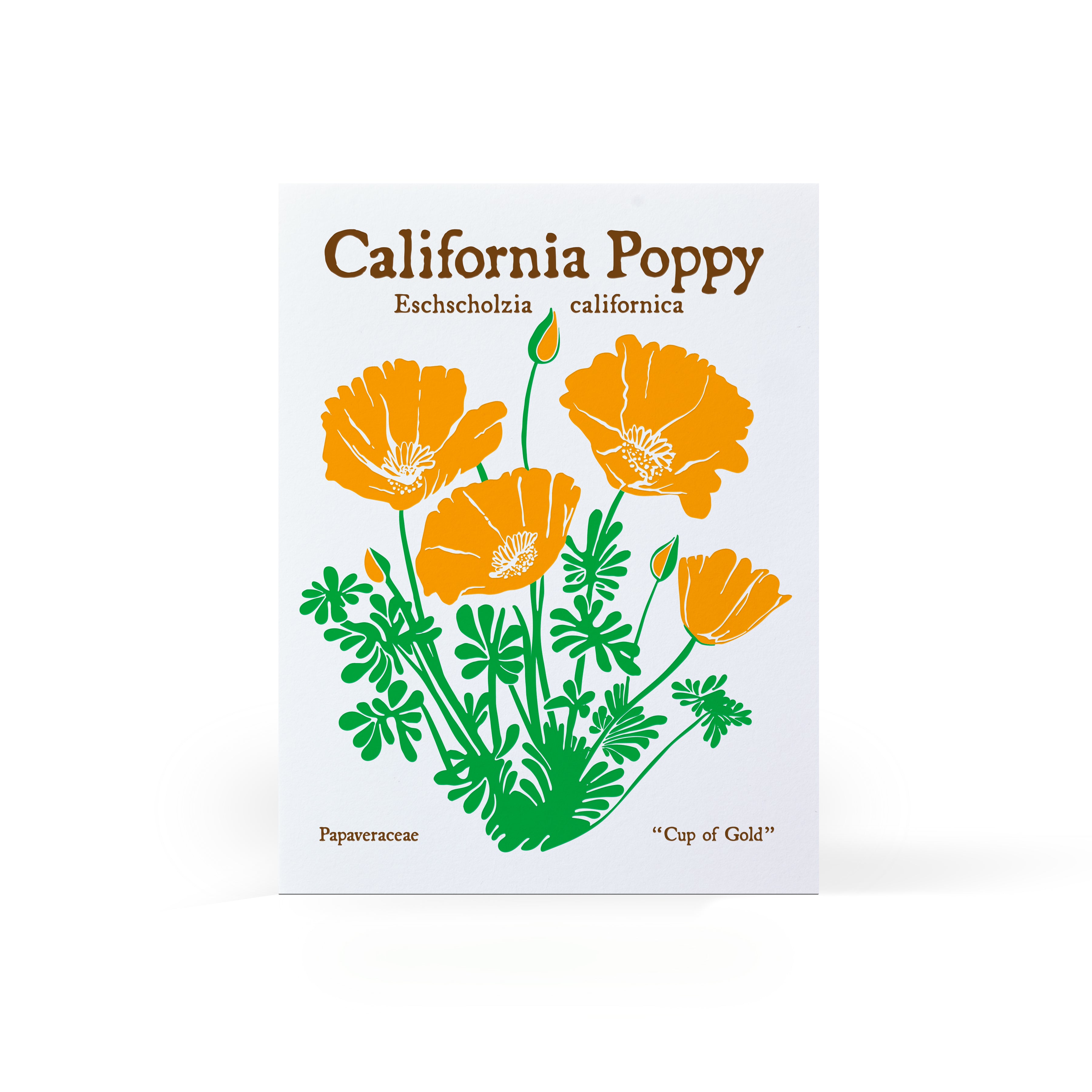 Poppy Seeds – Sweet Bippy Press