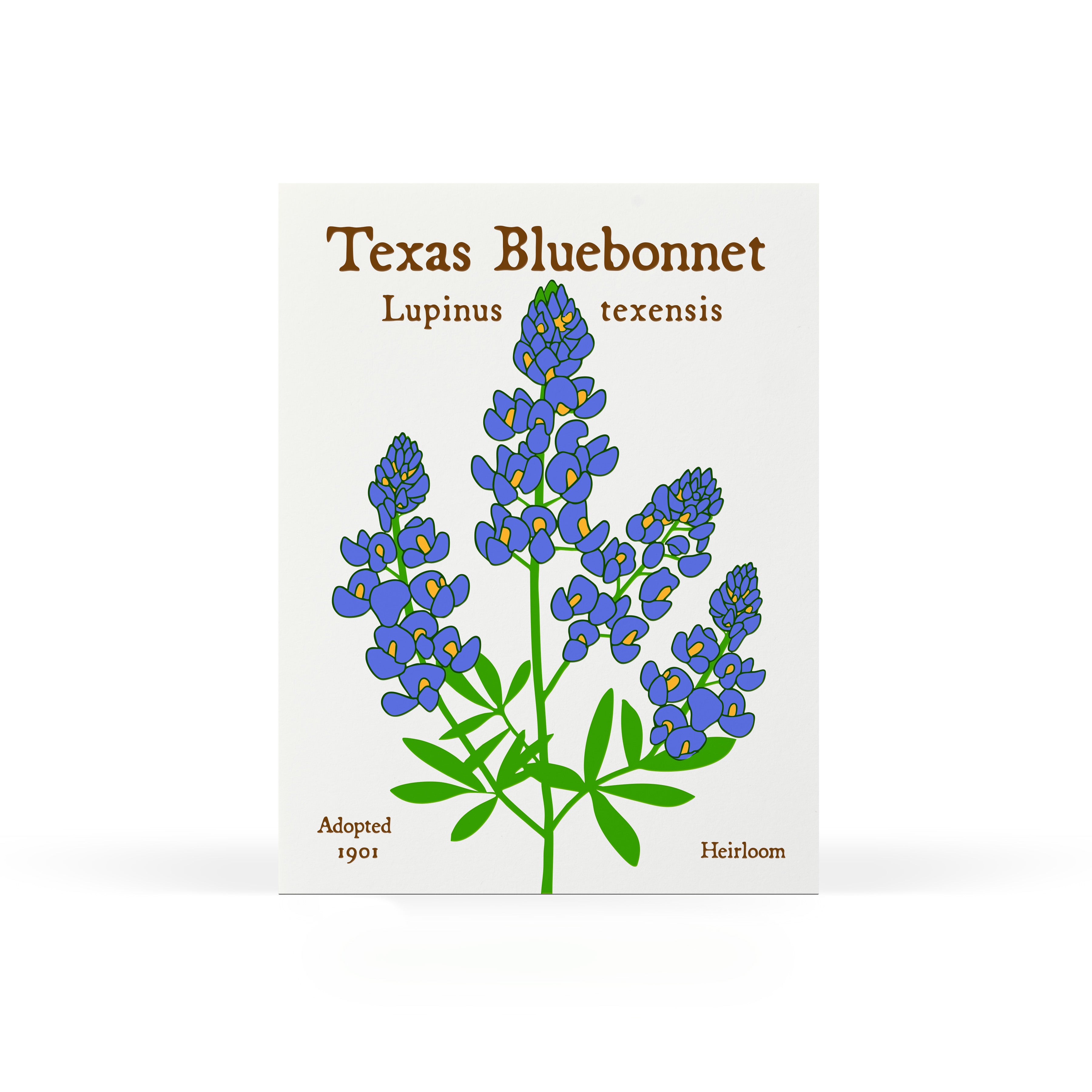 New – Sweet Bippy Press